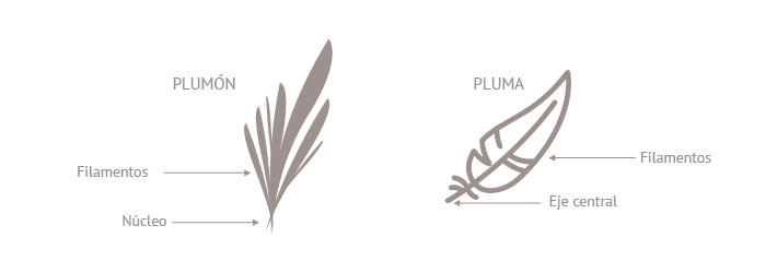 Almohada Dúo A: pluma/ plumón